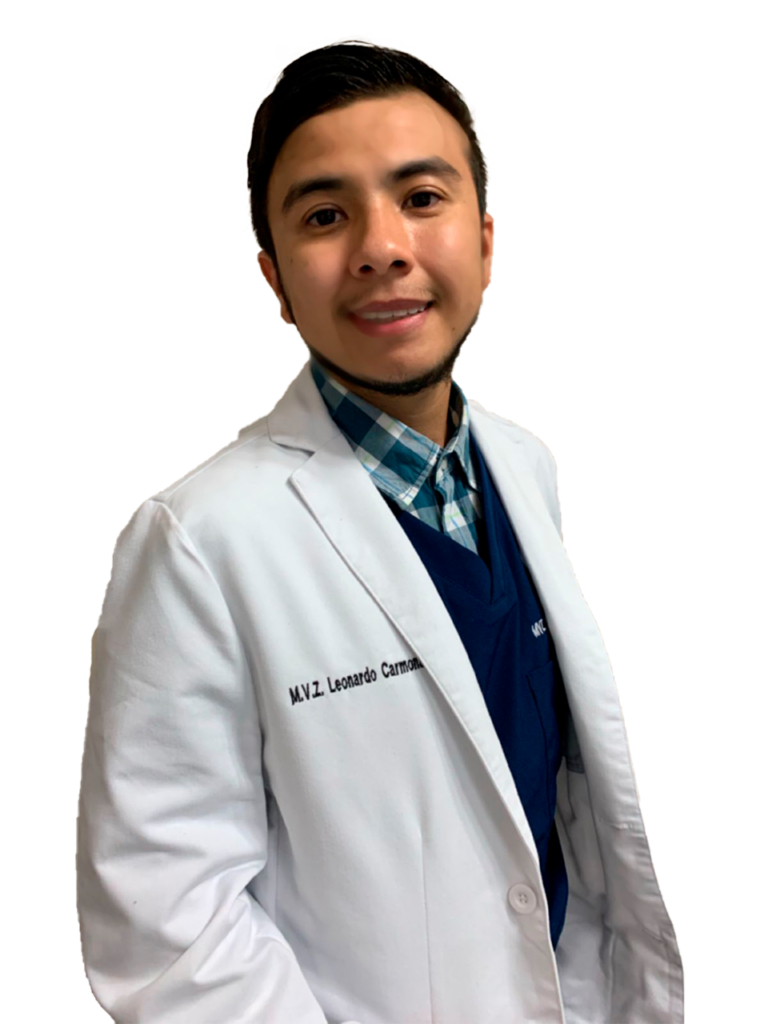 MVZ, EMCPG. Leonardo Carmona - Capacitación Veterinaria