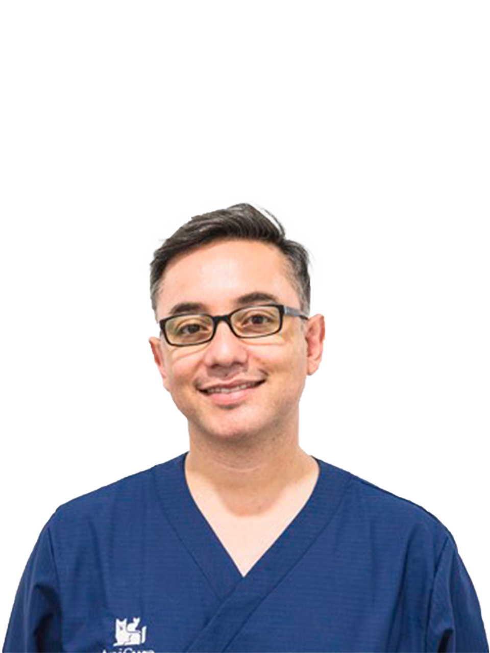 Diplomado en Nefrología y Urología - Capacitación Veterinaria