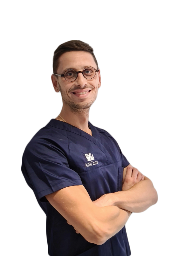 Diplomado en gastroenterología canina y felina - Capacitación Veterinaria